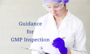 Guidance for Foreign GMP Inspection - Industrial Pharmacist