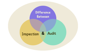Inspection Vs Audit: A Comparison of Compliance Assessment Processes ...