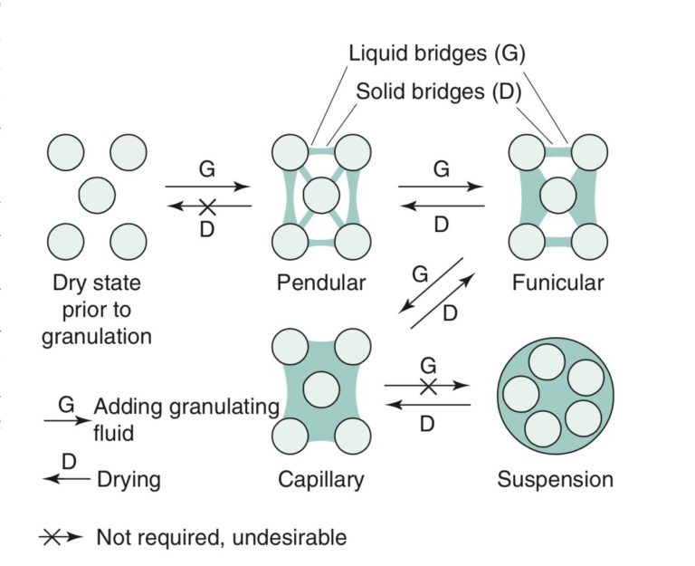 Water Distribution Between Particles of a Granule During Formation and ...
